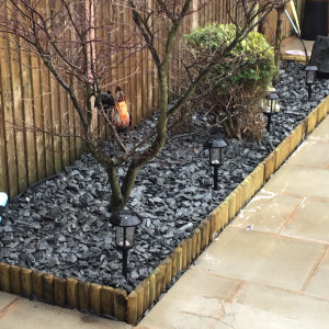 40mm Blue Slate Chippings South Lakeland | Buy Direct | Stone ...